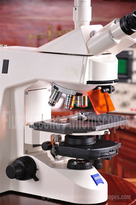 Fluorescence Microscopes Zeiss Axioskop 2 Upright Fluorescence