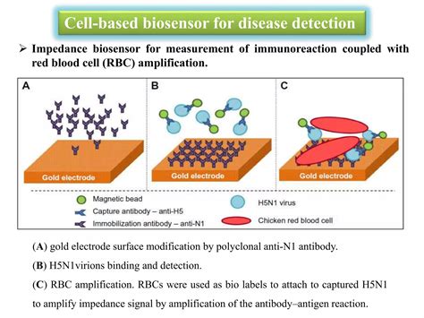 Cell Based Biosensor Lecture 7 Pptx Chemistry Science