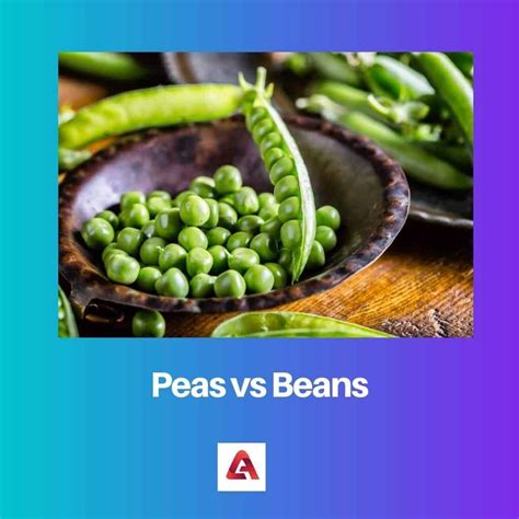 The Difference Between Peas And Green Beans At Rodney Carey Blog