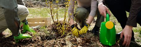 Top 5 Electronics And Communication Engineering Colleges In Lucknow For Future Innovators Srmu