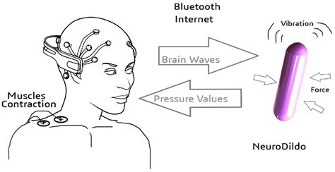 Robotics Free Full Text User Evaluation Of The Neurodildo A Mind Controlled Sex Toy For