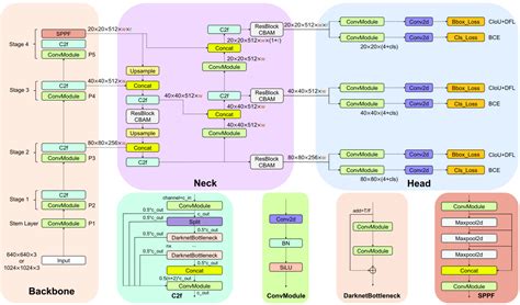 论文审查 Yolov8 Rescbam Yolov8 Based On An Effective Attention Module For Pediatric Wrist