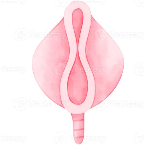 Menstrual Period Female Watercolor Menstruation 34633546 Png