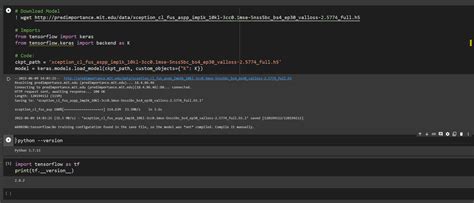 Bug Bad Marshal Data Unknown Type Code · Issue 567 · Keras Teamtf
