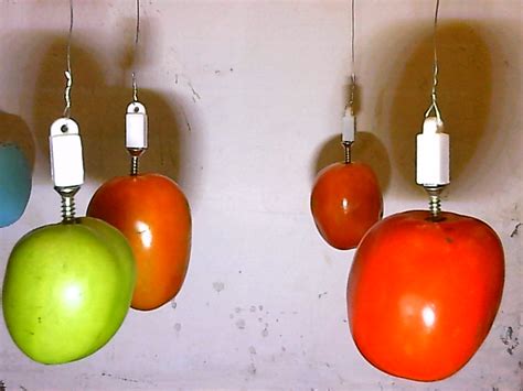 Tomato Object Detection Dataset By University Of Peradeniya