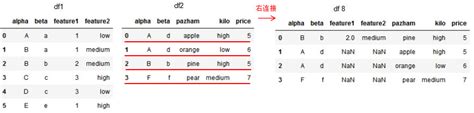 Pandas 数据处理空值清洗替换填充级联与合并拼接 元小疯 博客园