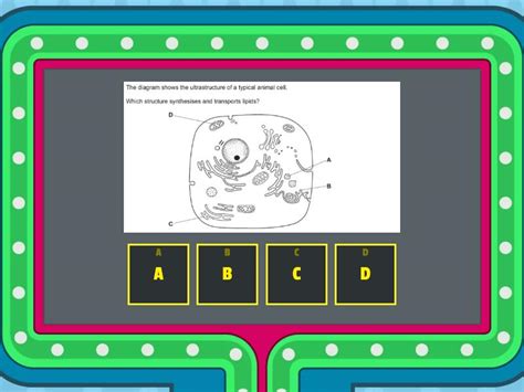 Cell Structure Quiz AS Bio Gameshow Quiz