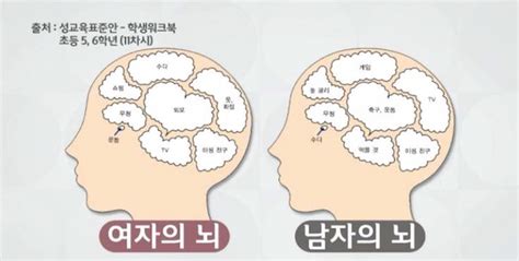 억원 들여서 만든 충격적인 학교 성교육 표준안 인스티즈 instiz 이슈 카테고리