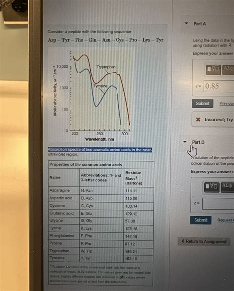 Solved Consider A Peptide With The Following Sequence Asp