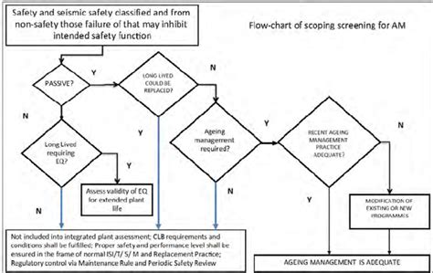 Flowchart For Scoping And Screening For Ageing Management And Am Review