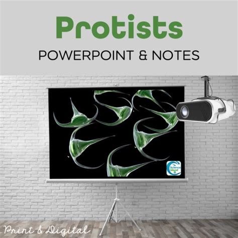 Protists Powerpoint Notes And Videos Science Island