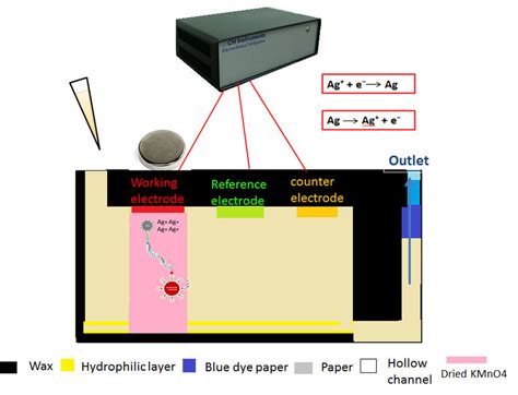 Electrochemical Analyte Detection At Marcus Dacomb Blog