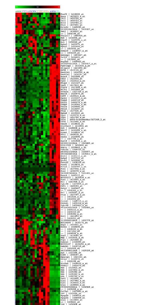 Figure S4 Hierarchical Cluster Analysis Of Math1 Tlx3 Olig2