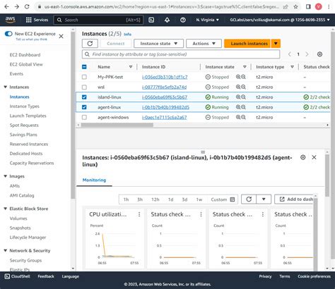 Plugin Installation Screen Issue Guardicore Monkey GitHub