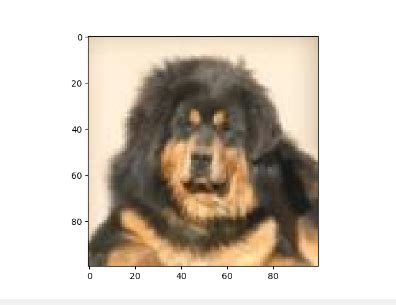 python机器学习课程设计狗的品种识别 吴龙达 博客园