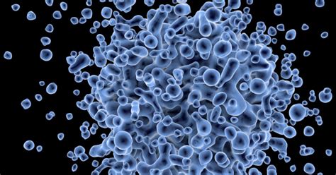 Towards Point Of Care Nanobody Based Car T Cell Therapy Health~holland