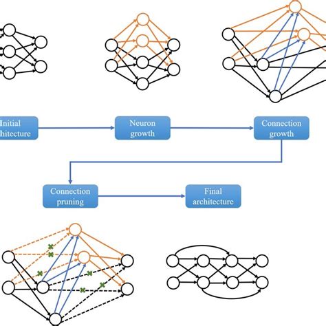 An Mlp Architecture With One Hidden Layer Evolves Into A Non Mlp Download Scientific Diagram