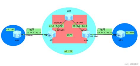 bgp实验 csdn博客