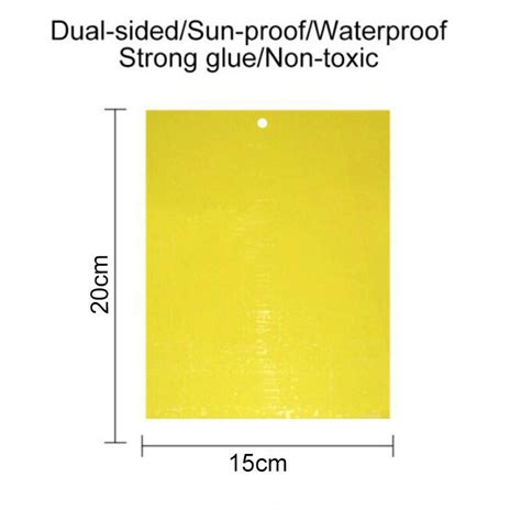 Badu Bg 30 100 бр Силни капани за мухи Буболечки Лепкава дъска Двустранно улавяне на листни