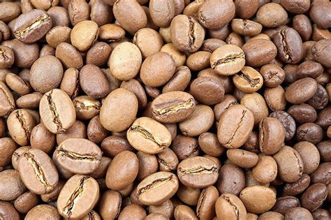 산미 있는 커피 Vs 고소한 커피 내 입맛에 맞는 원두 고르는 법