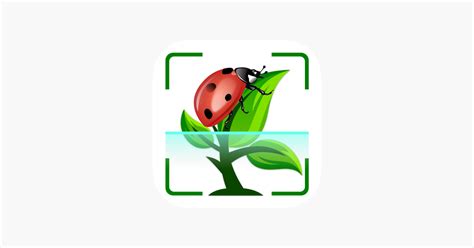 ‎bug identifier uk insect weed on the app store