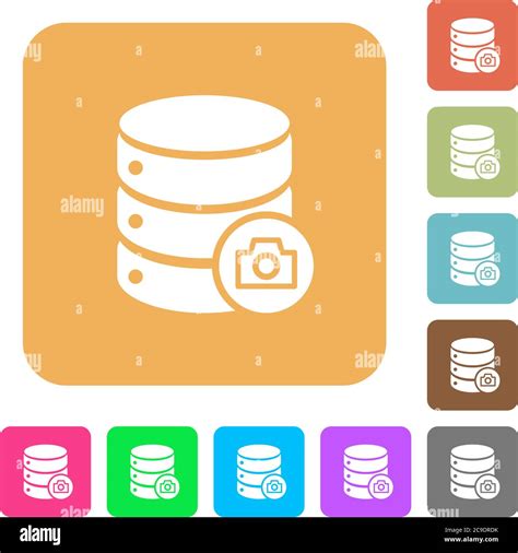 Database Snapshot Flat Icons On Rounded Square Vivid Color Backgrounds Stock Vector Image And Art