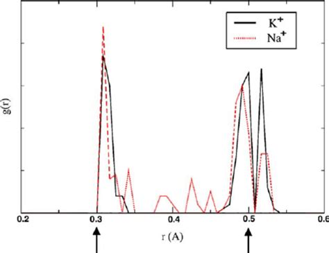 pair correlation function of the wannier functions center of charge