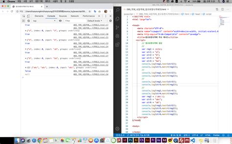자바스크립트 기초 오늘의 마늘미션 객체 내장객체 정규표현식 객체 library