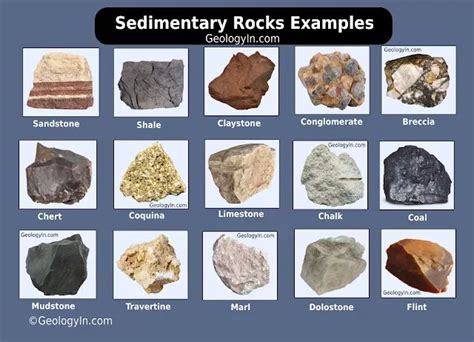 Types Of Rocks Igneous Sedimentary Metamorphic Geology In In 2024