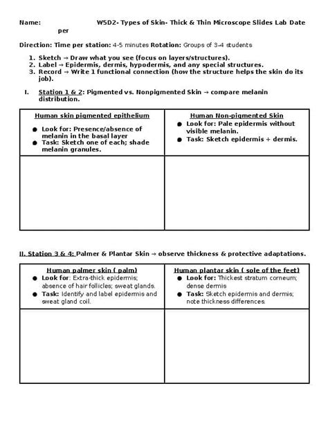 Types Of Skin Thick And Thin Microscope Slides Lab Integumentary System