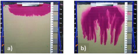 Free Convection Variable Density Groundwater Flow
