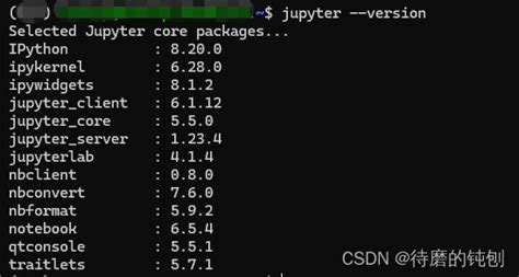 打开jupyter Notebook报错500：internal Server Error【安装jupyter依赖nbconvert后