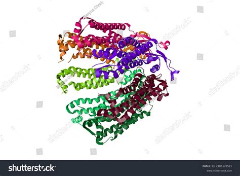 Cryo Extraction Over 1 Royalty Free Licensable Stock Illustrations