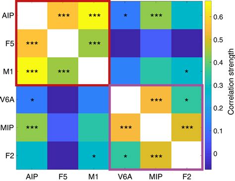Between Seed Correlation Matrix Color Bar Showing The Mean Correlation Download Scientific