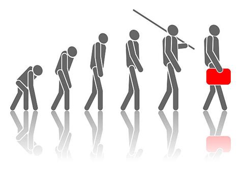 Australopithecus Ilustraciones Banco De Fotos E Imágenes De Stock