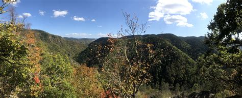 Conservation Field Safety Expeditions