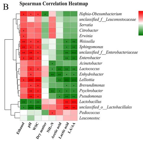 Spearman Correlation Heatmap Between Chemical Compositions Or