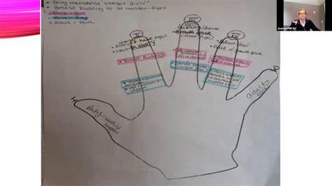 What Is Tanner V At Lynda Higgins Blog