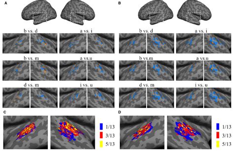 Spatial Patterns Of Effective Voxels For Classification A And B