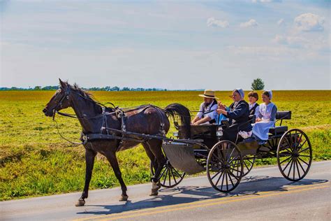 Amish News Amish America Ppja