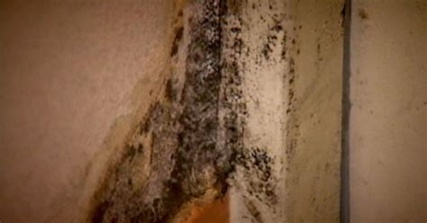 셋집 곰팡이 때문에 폐렴집주인 책임 있을까