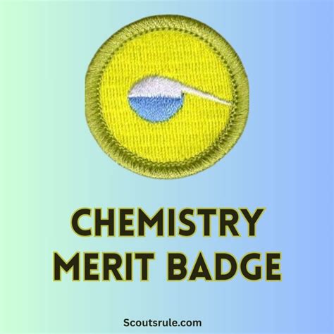 Traffic Safety Merit Badge Guide Scouts Rule