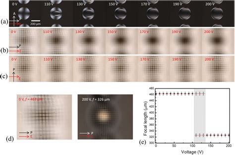 Electrically Tunable Printed Bifocal Liquid Crystal Microlens Arrays Kamal 2020 Advanced