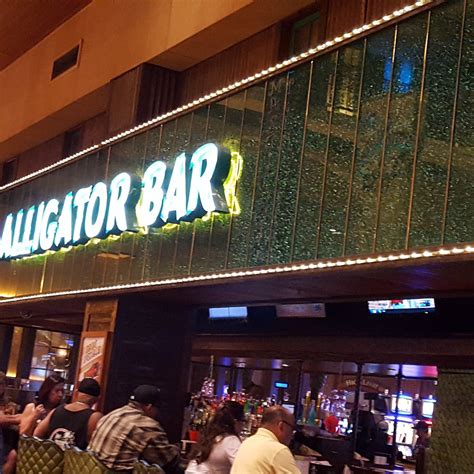 Alligator Bar Tutto Quello Che Cè Da Sapere 2026