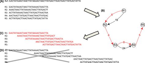 Dna Sequence Can Be Predicted Correctly By The Using Shortest Path A Download Scientific