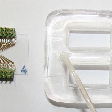 A View Of Pdms Substrate With Fluidic Connections And Glass With Download Scientific Diagram