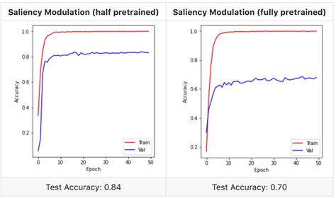 How Could Saliency Map Help To Improve Model Performance By Cynthia