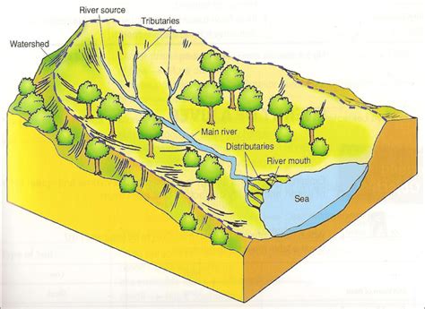 Diagram Of Geography Drainage Basins Quizlet
