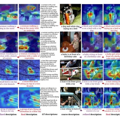 visualizations of the generated captions and image attention maps on