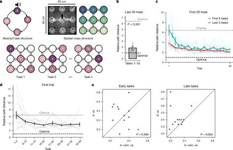 A Cellular Basis For Mapping Behavioural Structure Nature Ibrahim El Gaby